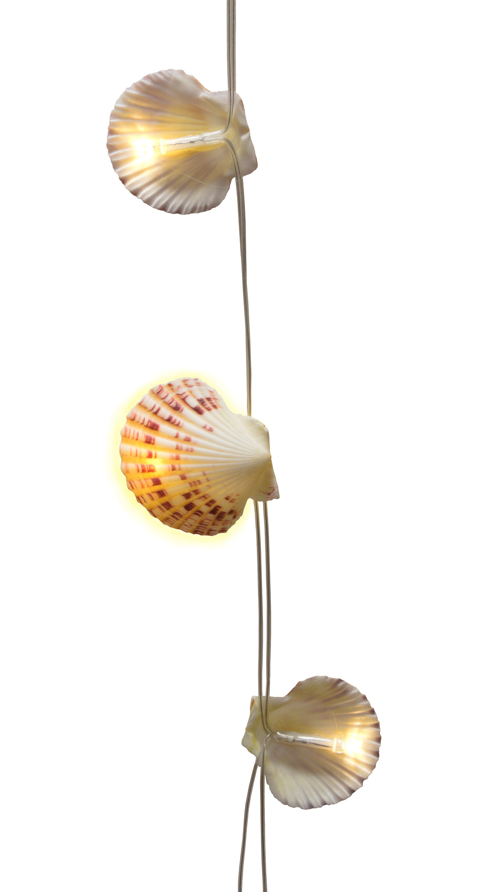LED Shell Garland – Coastal String Lights with Real Seashells – LIVE ...