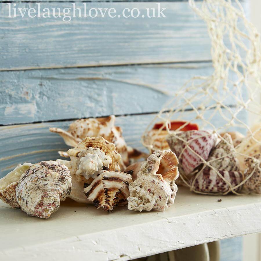 Natural Real Shell Net Bag | Live Laugh Love – LIVE LAUGH LOVE LIMITED
